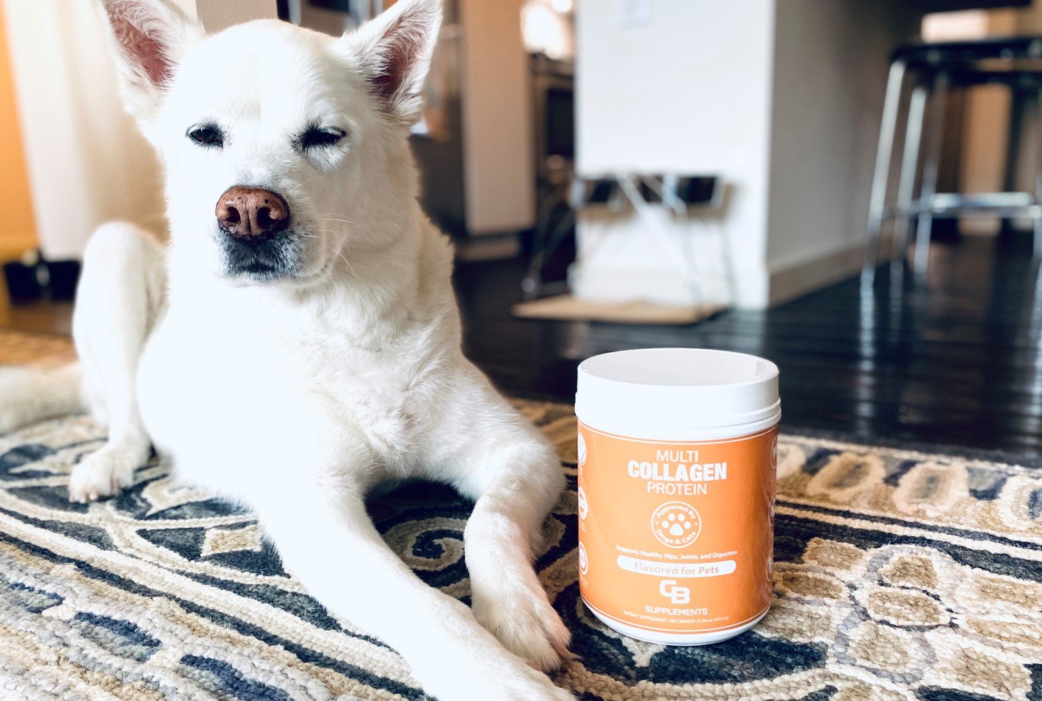 Q&A: Is Snapper Fish in Your Pet Collagen Safe for Dogs?