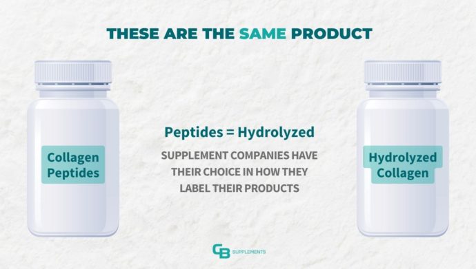 Collagen vs Collagen Peptides (aka Hydrolyzed Collagen!)