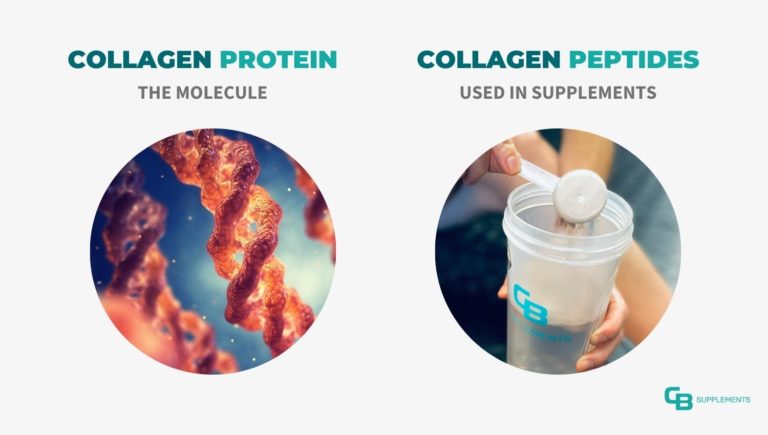 Collagen vs Collagen Peptides (aka Hydrolyzed Collagen!)