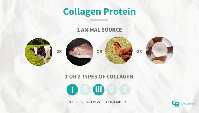 Complete Guide to Multi Collagen Protein: Benefits, Ingredients
