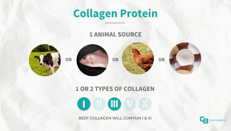 Complete Guide to Multi Collagen Protein: Benefits, Ingredients