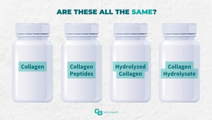 Collagen vs Collagen Peptides (aka Hydrolyzed Collagen!)