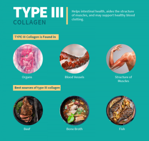What are the 5 Types of Collagen? Their sources & if you need all 5