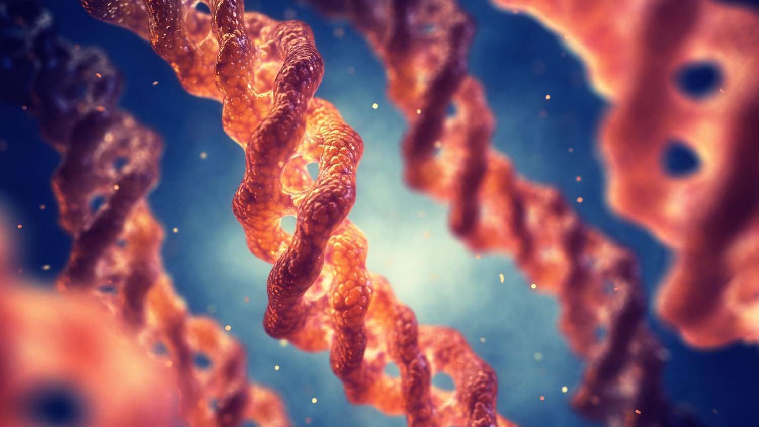 What Amino Acids are in Collagen? Is the profile unique?